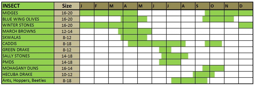 Flathead River Fly Fishing Hatch Chart & Fly Patterns