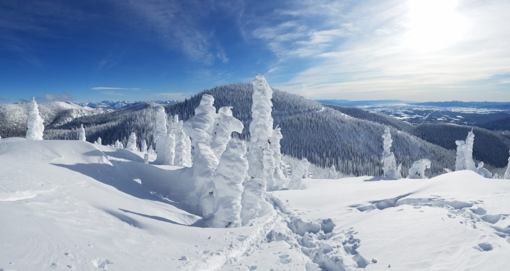 Montana Snow-pack - Bigfork Anglers