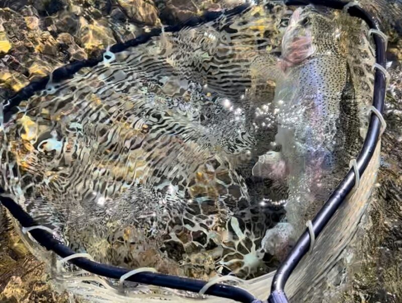 Fall Fishing - Bigfork Anglers